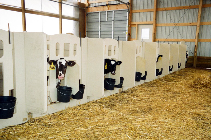RSI Calf Systems - Calf Pens
